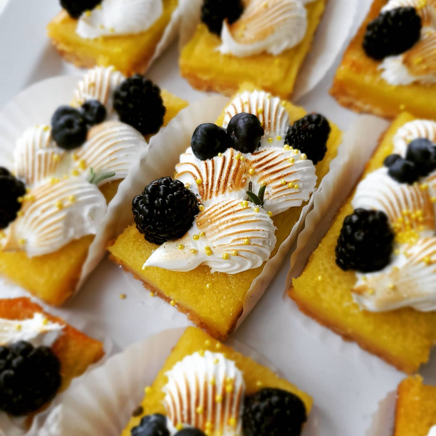 Home [www.elizabethonseventh.com]